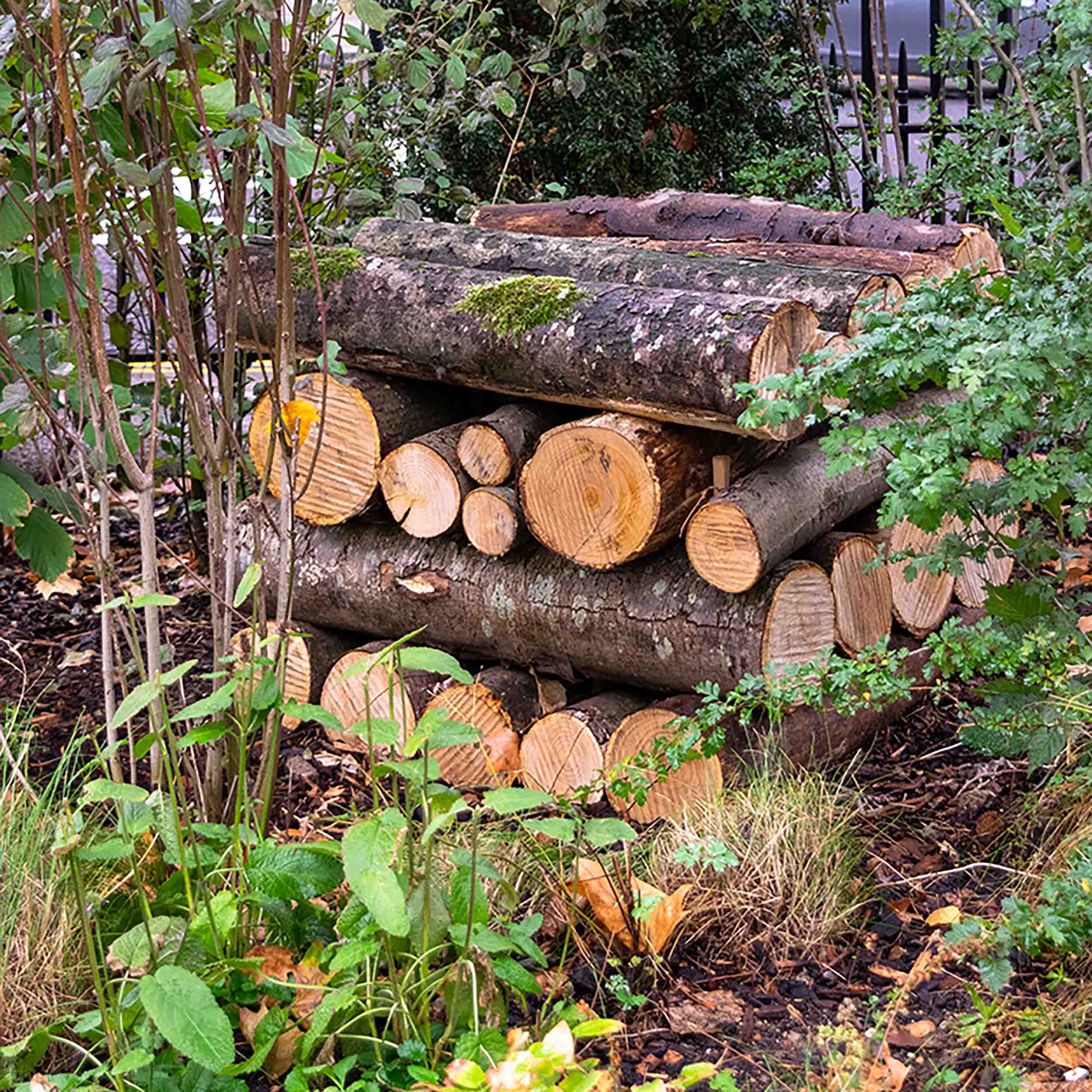habi-sabi — insect habitats