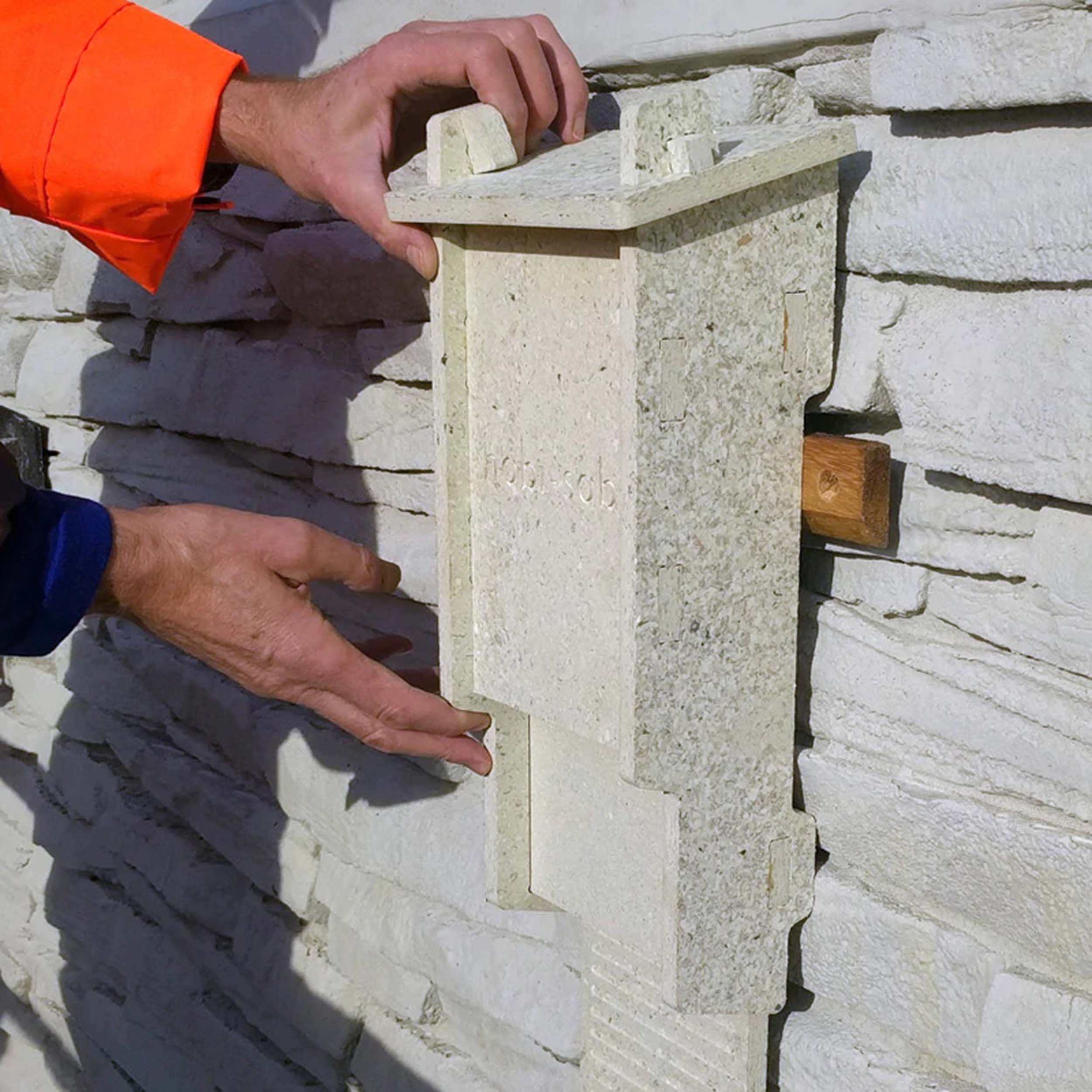 habi-sabi — swift and bat column