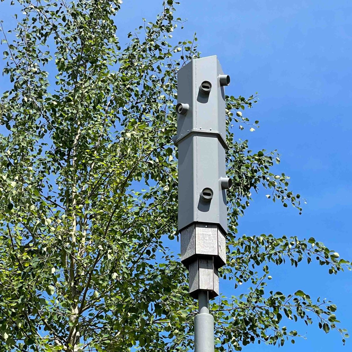 habi-sabi — swift column #8