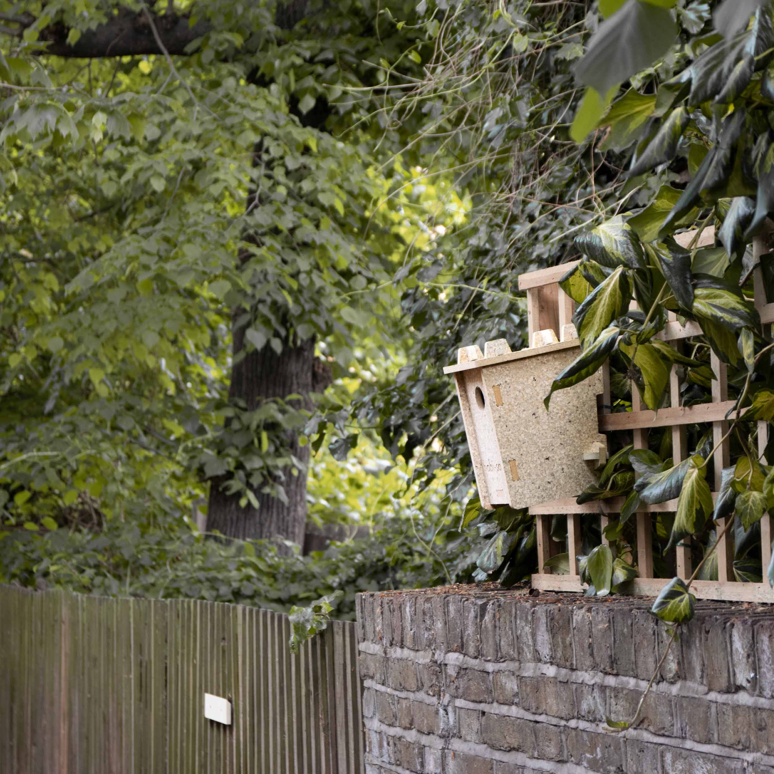 habi-sabi — starling box