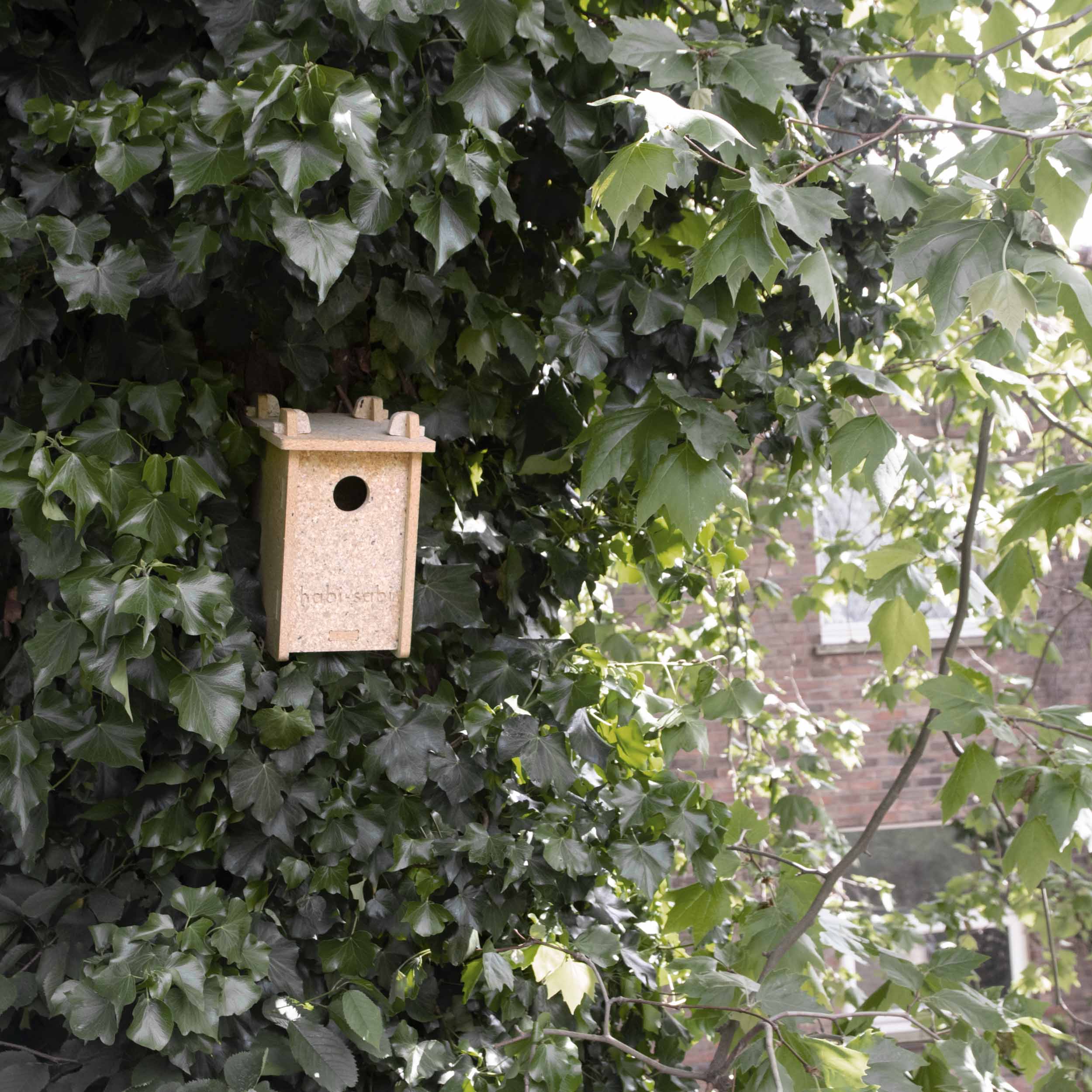 habi-sabi — starling box