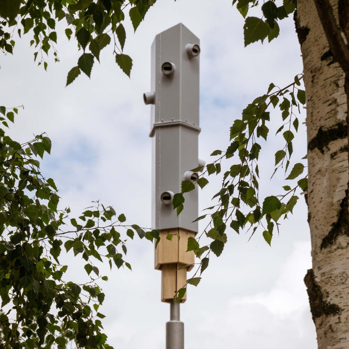 habi-sabi — swift column #12