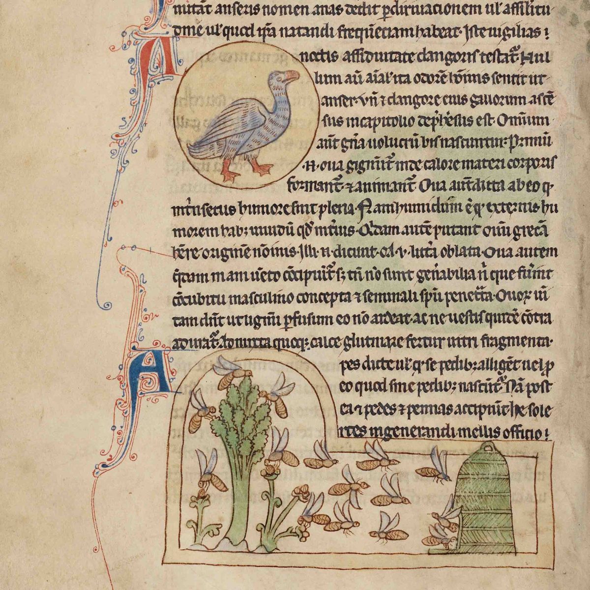 habi-sabi — further reading