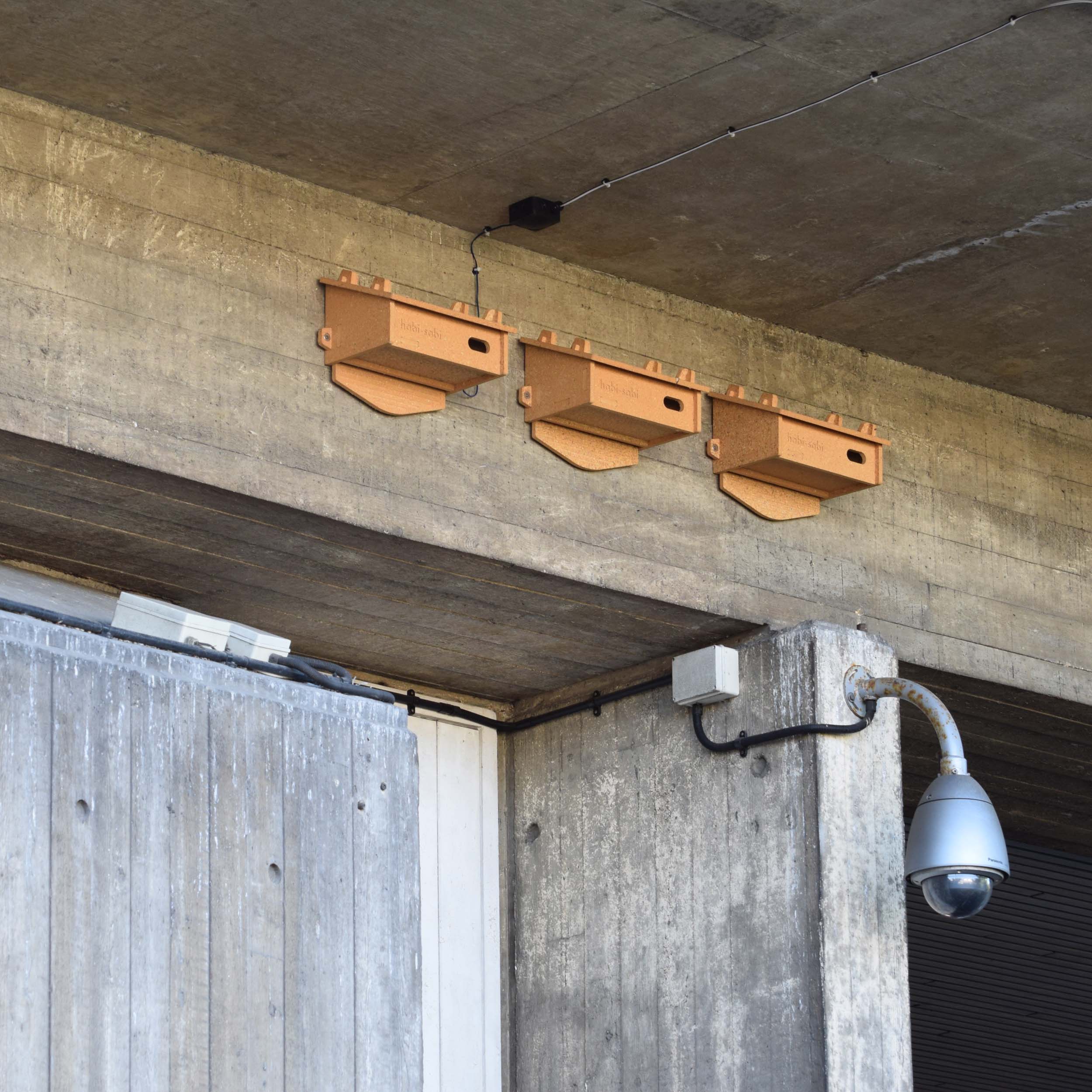 habi-sabi — day & night box