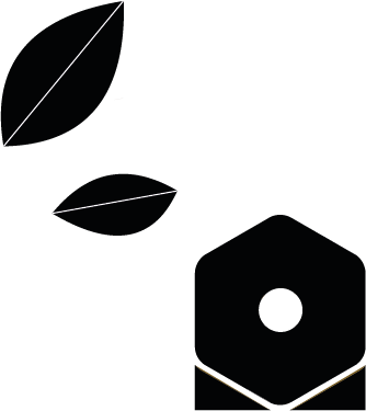 habi-sabi — double swift box