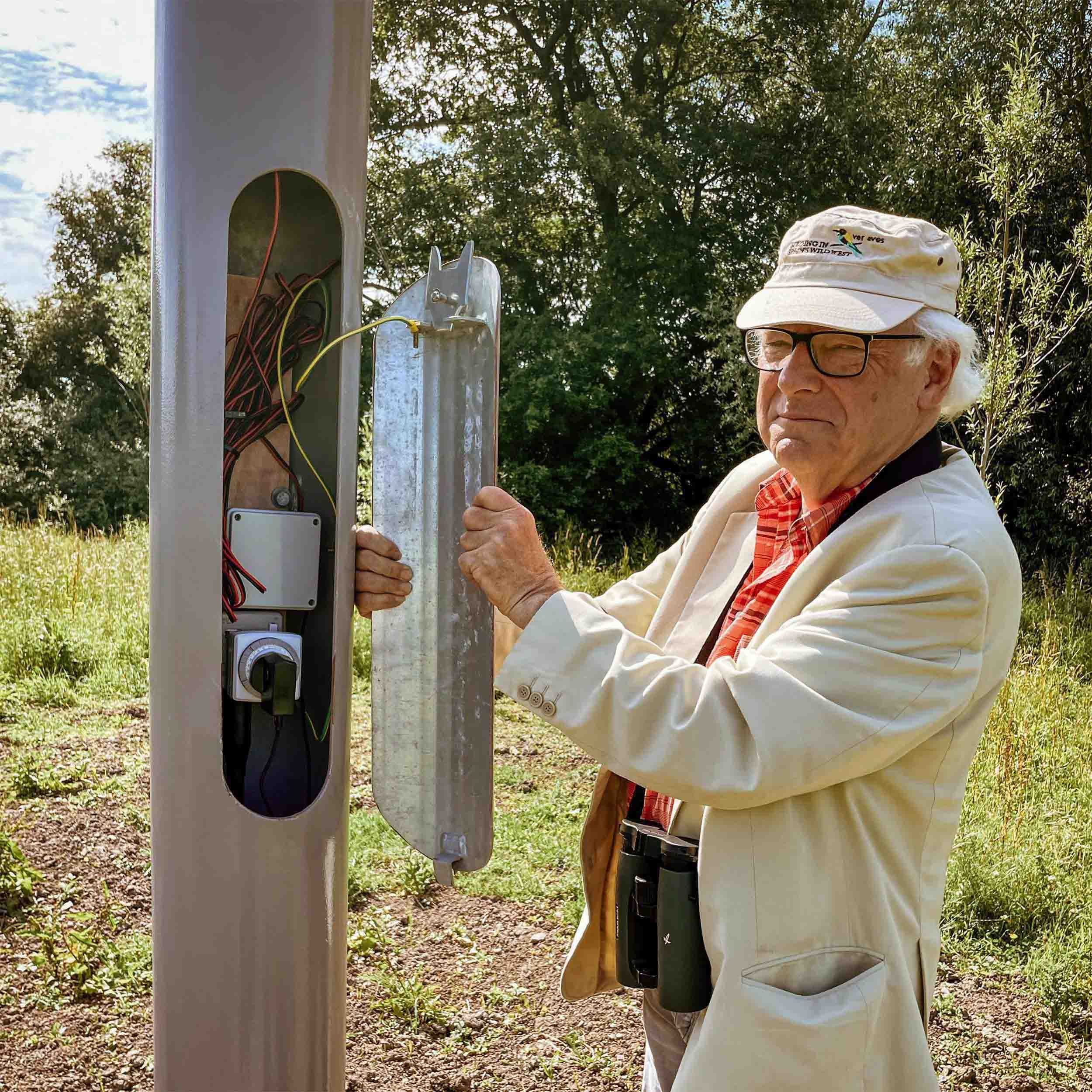 habi-sabi — swift and bat column