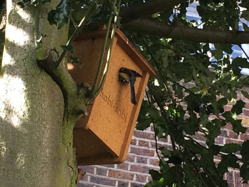 habi-sabi — tips on placing your little bird boxes