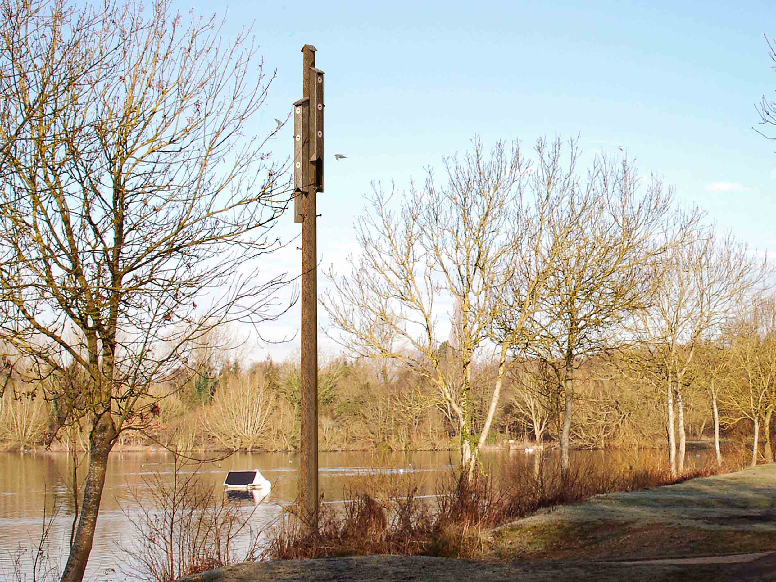 habi-sabi — swift column #12