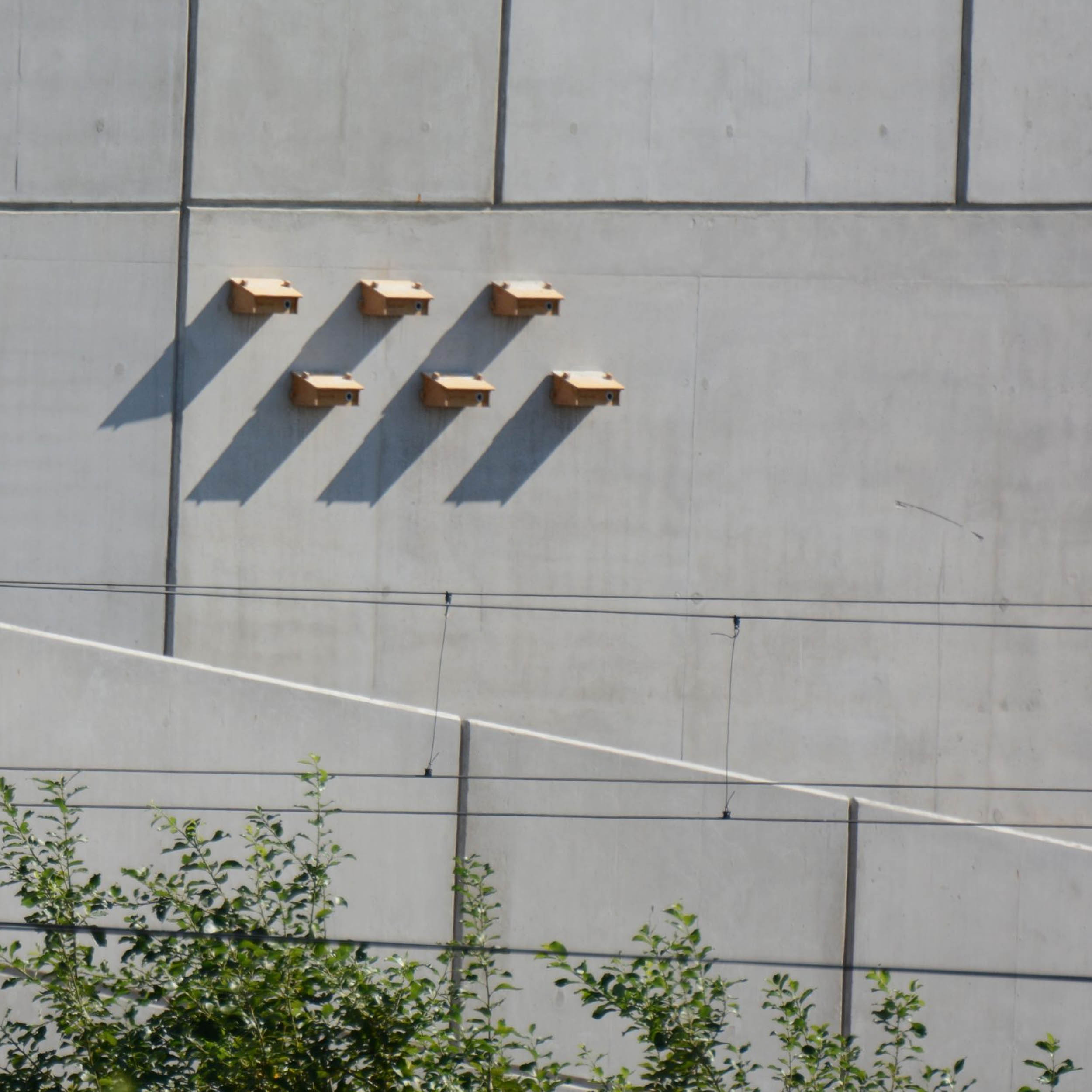 habi-sabi — sparrow box