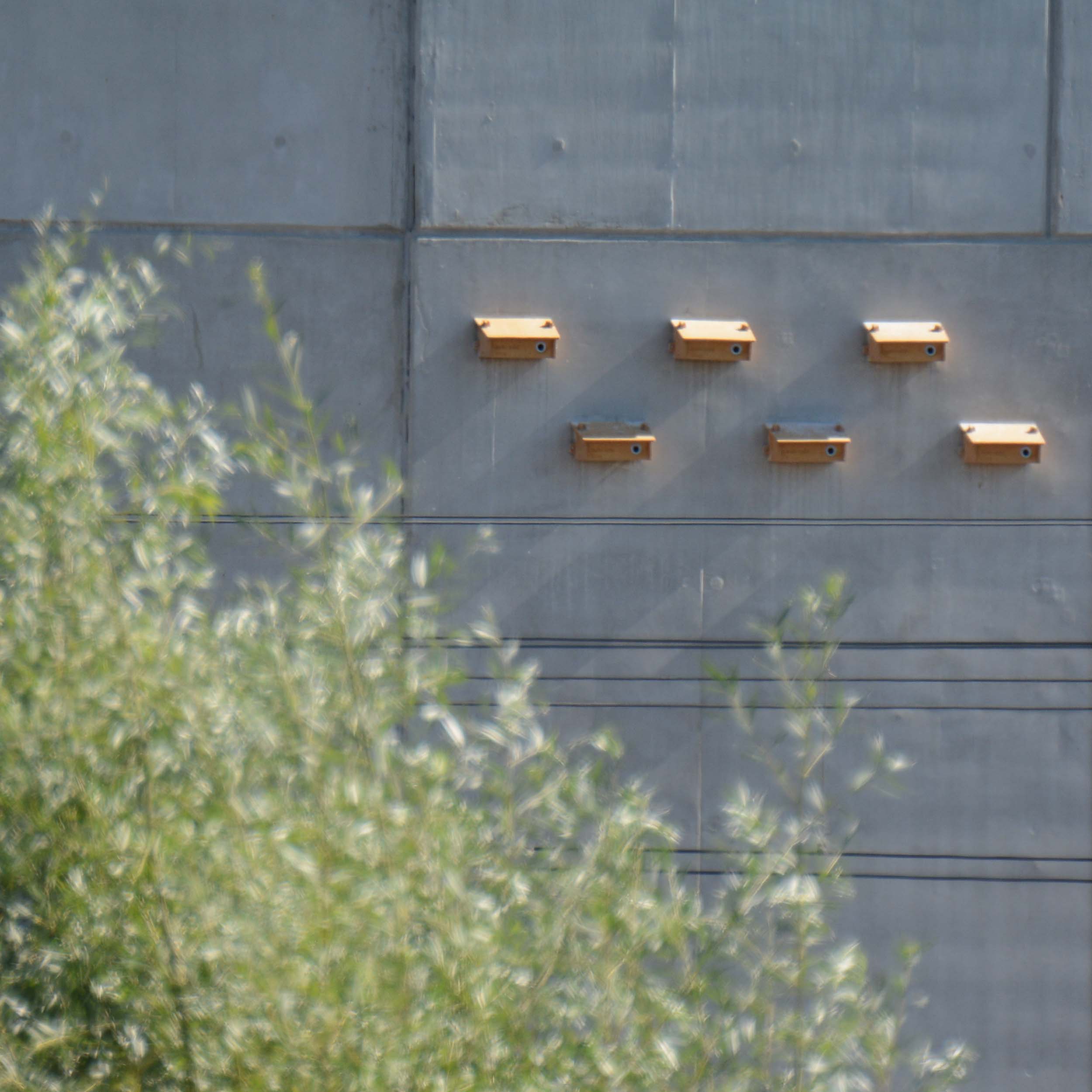 habi-sabi — sparrow box