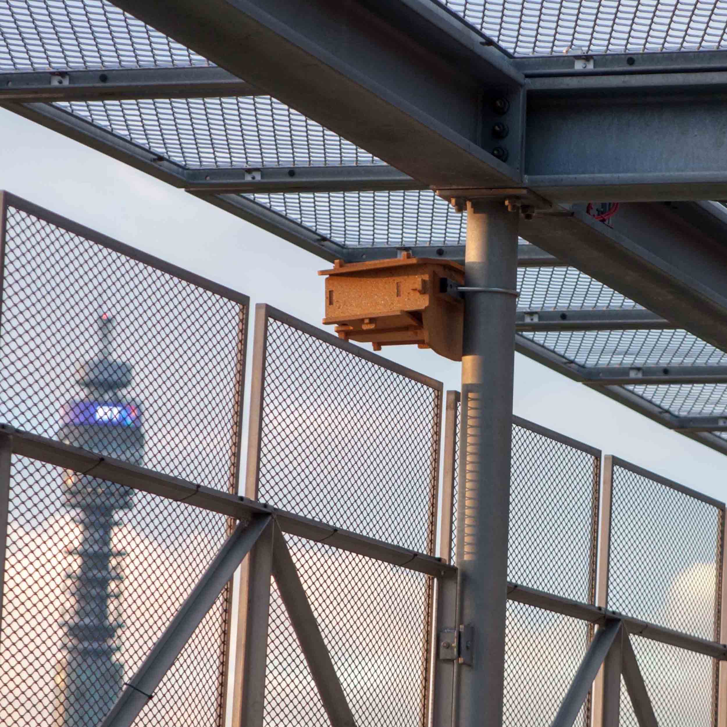 habi-sabi — double swift box