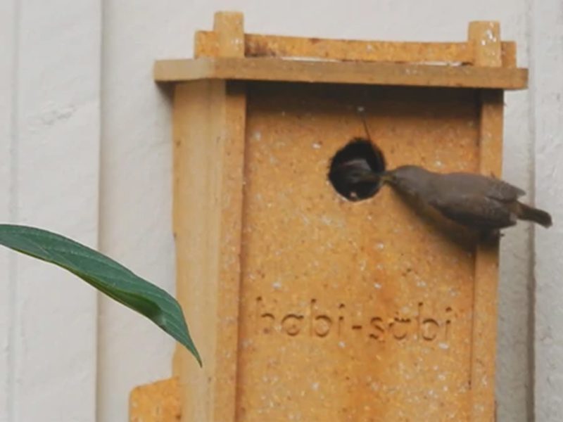 habi-sabi — tips on placing your little bird boxes