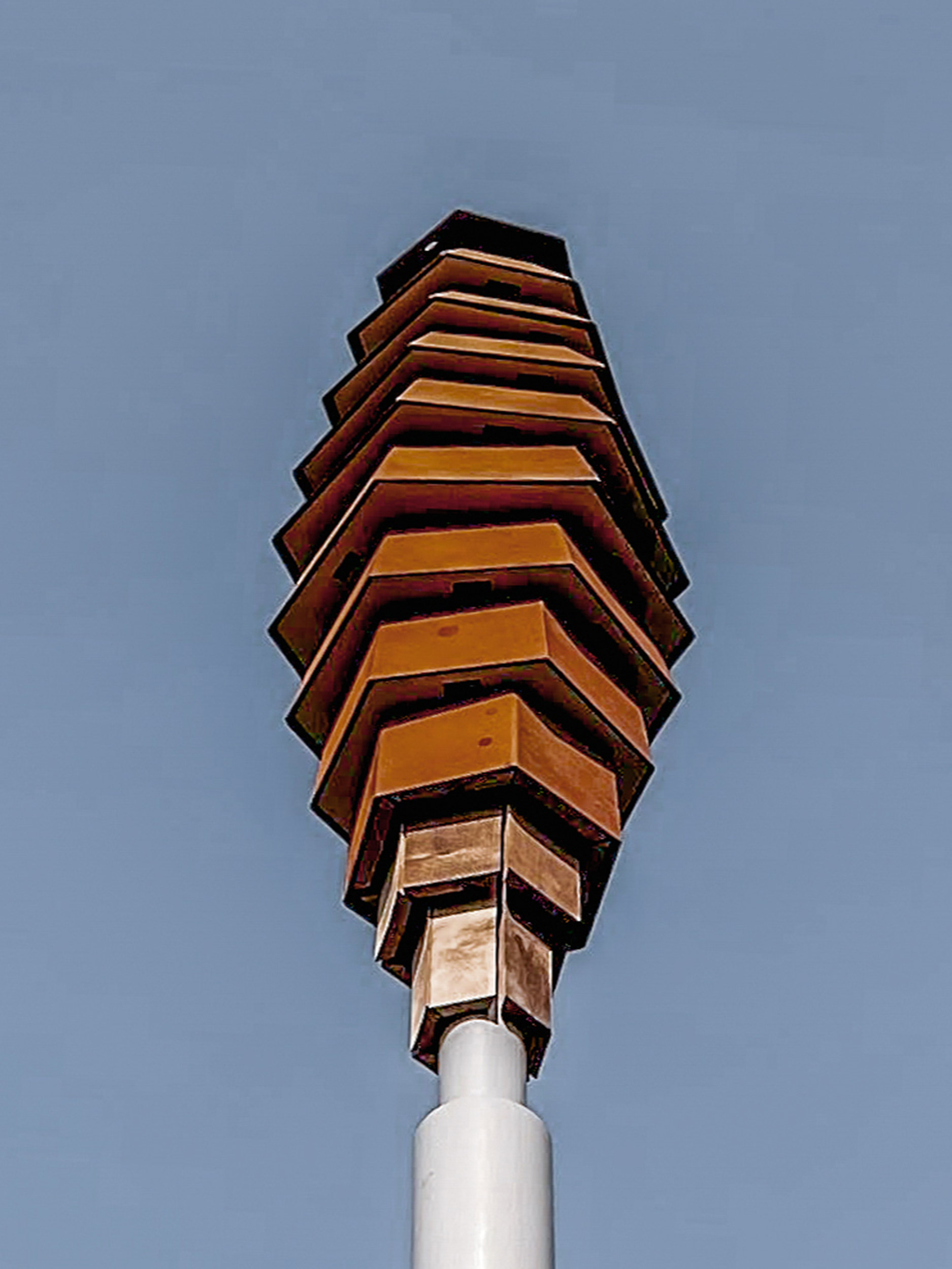 habi-sabi — swift and bat column