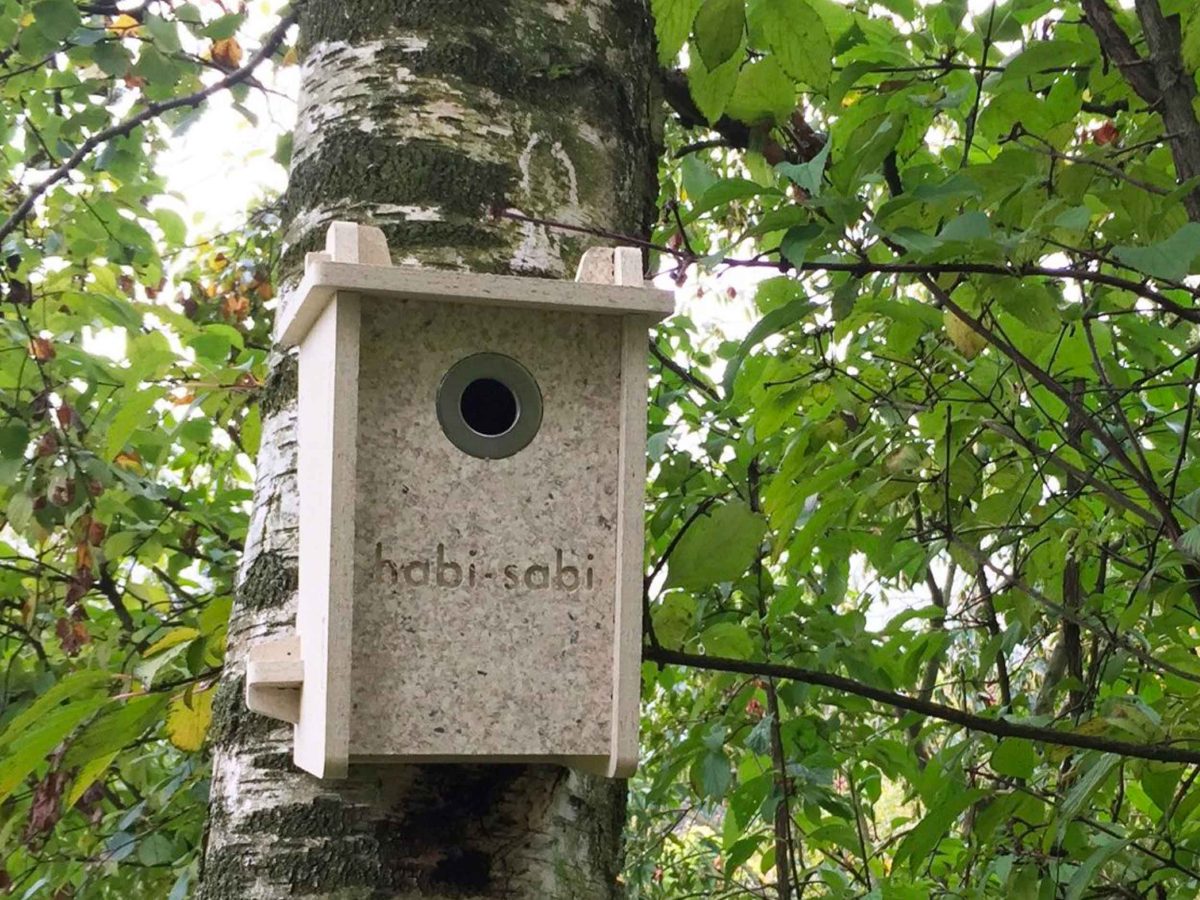 habi-sabi — tips on placing your little bird boxes