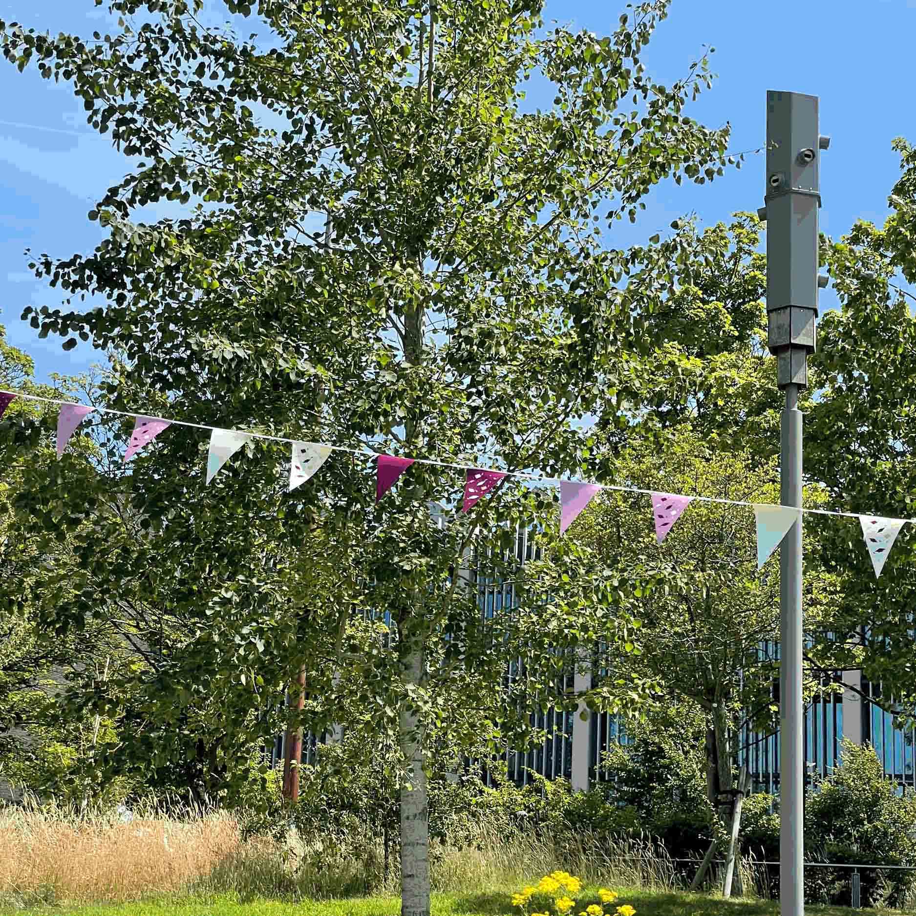 habi-sabi — swift and bat column