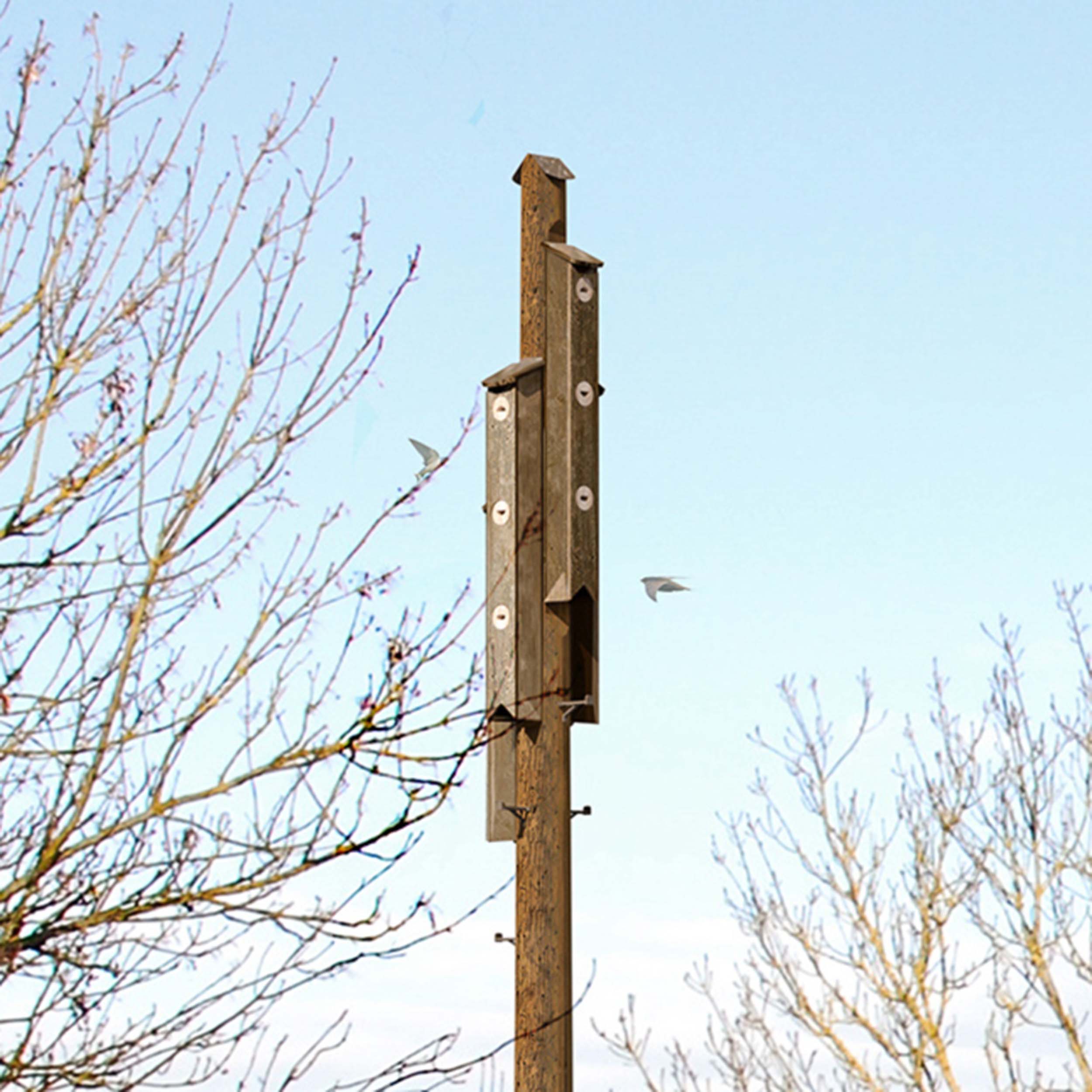 habi-sabi — swift column #12